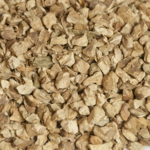 Stone Root, Organic | Living Earth Herbs – Organic Bulk Herbs ...