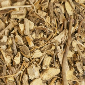 Gravel root, Wild harvested | Living Earth Herbs – Organic Bulk Herbs ...