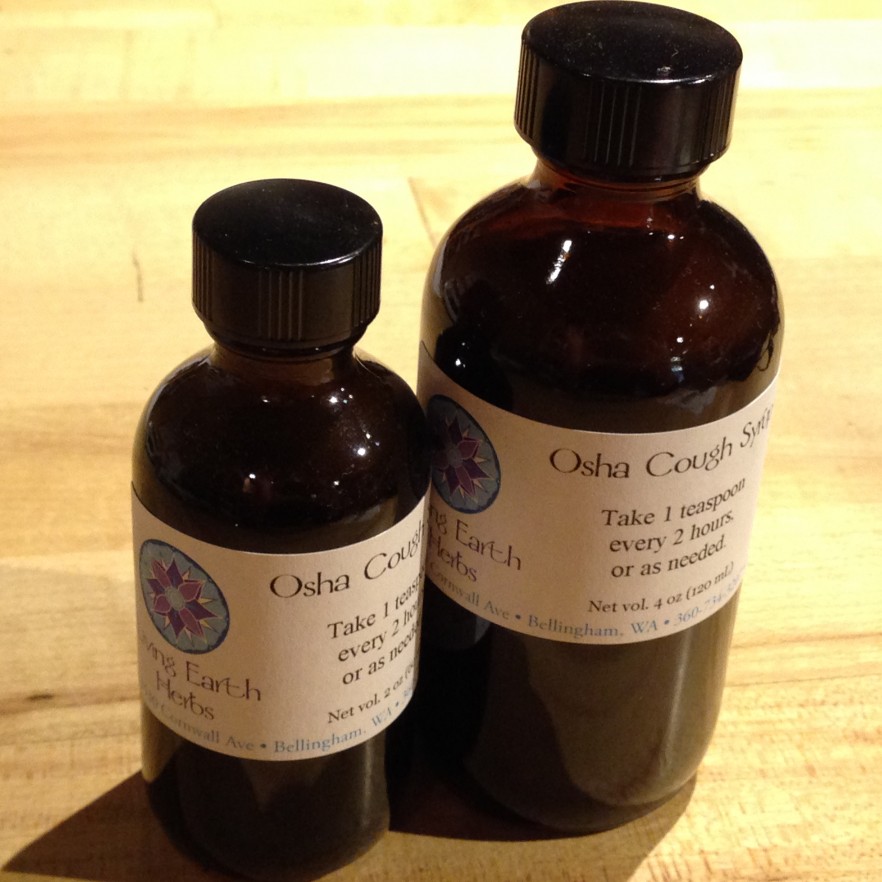 Osha Cough Syrup | Living Earth Herbs – Organic Bulk Herbs, Essential ...