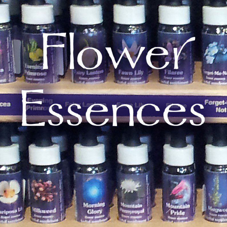 Shop – Living Earth Herbs Apothecary | Organic Bulk Herbs, Essential ...