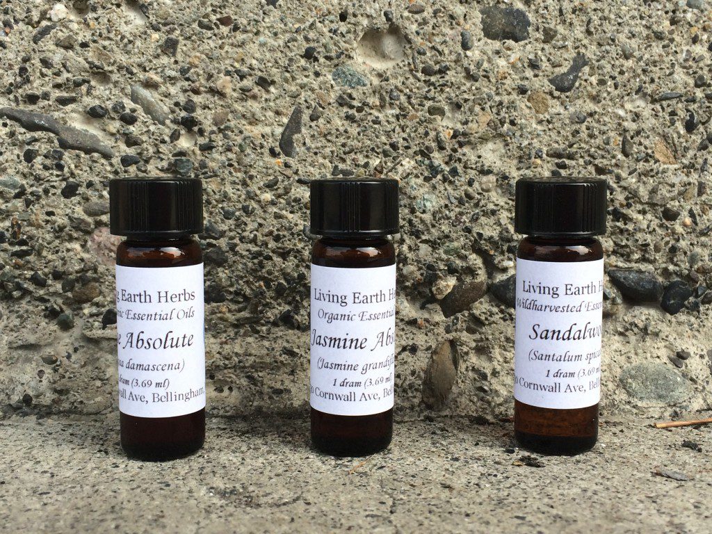 Wintergreen Essential Oil, Organic – Living Earth Herbs Apothecary ...